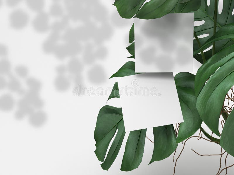 Card Mockup with Nature Leaf and Shadow. Mockup Design Template for ...