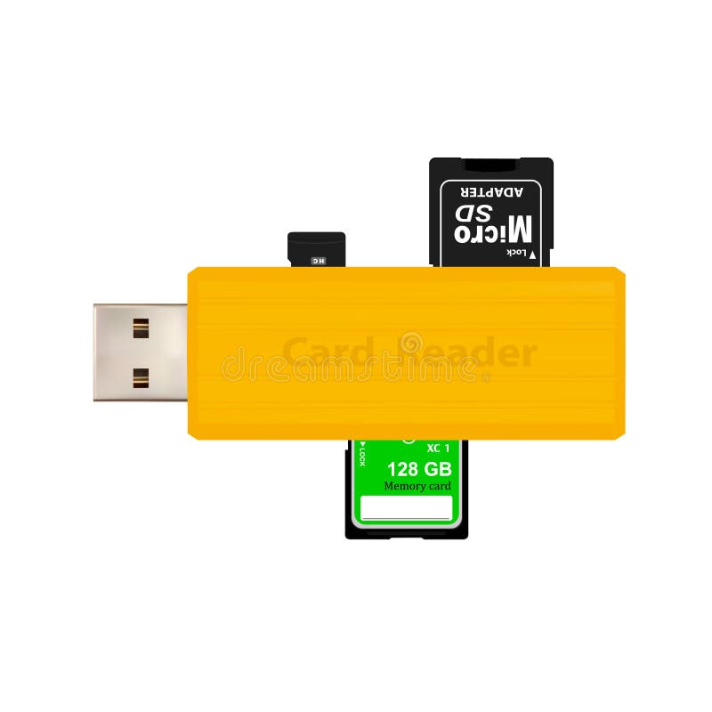Card Reader for Reading Memory Cards in Vector. Stock Vector ...