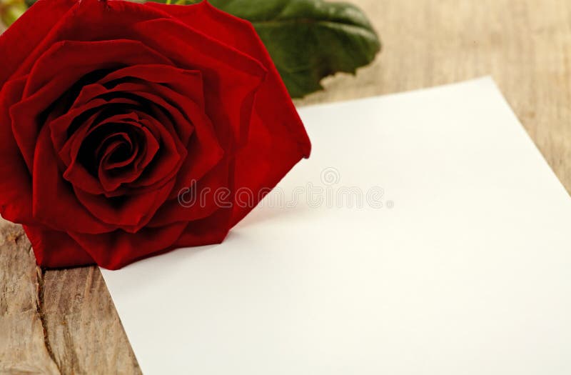 Card and rose stock photo. Image of wooden, romance, note - 26087792