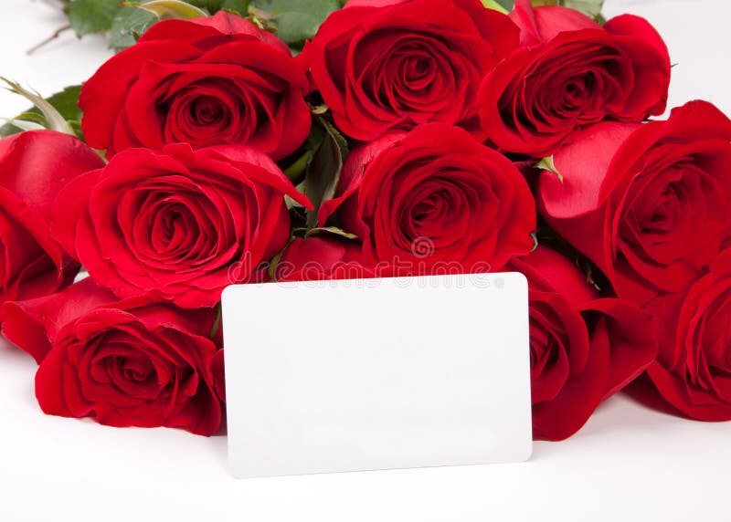 Card and roses stock photo. Image of birthday, beauty - 22965436