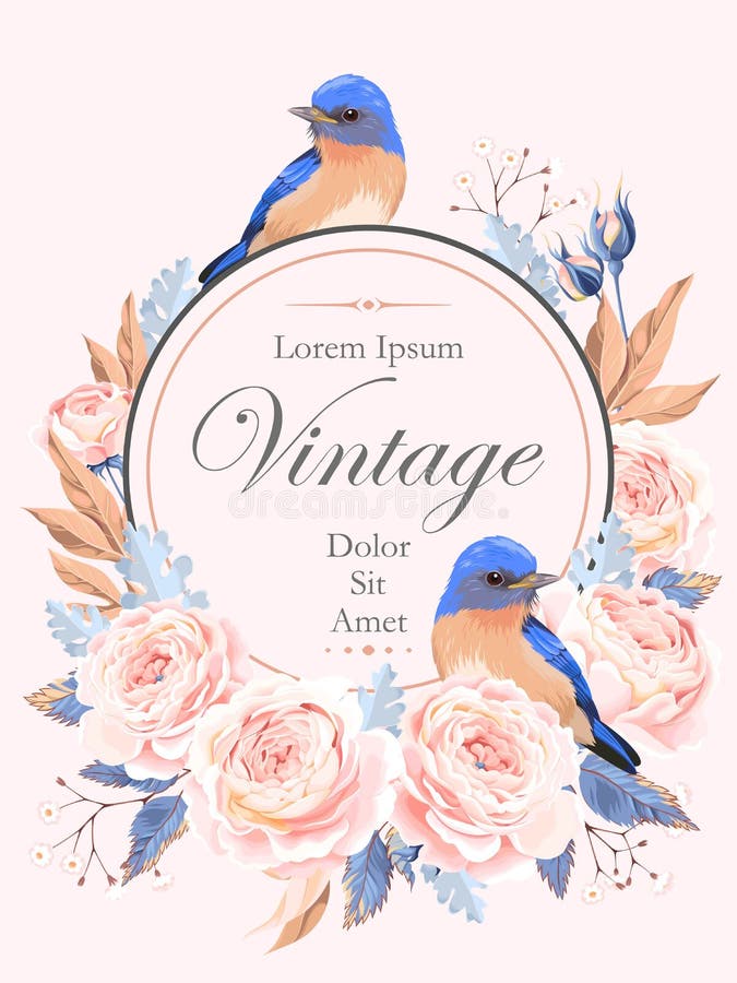 Card with roses and bird stock vector. Illustration of rose - 79330752