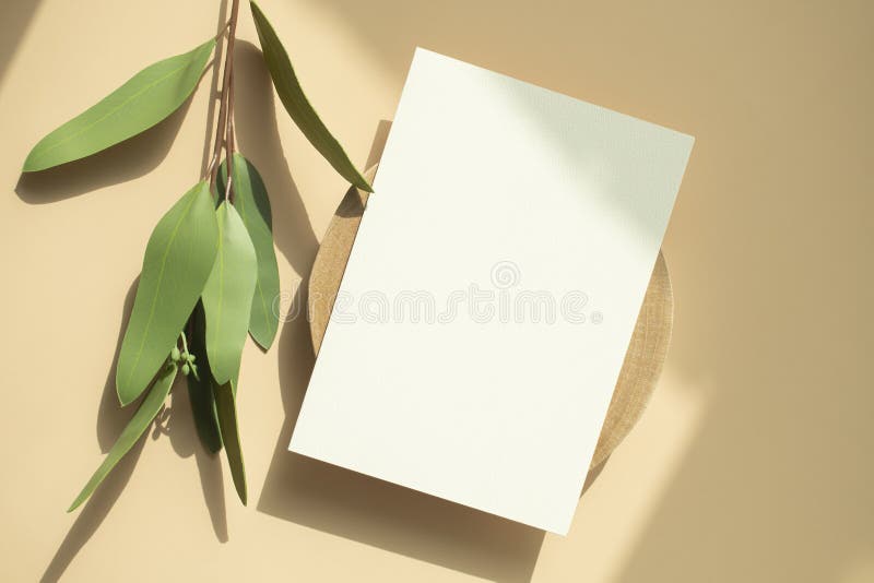 Card and Shadow on Beige Background Stock Image - Image of pink, shadow ...