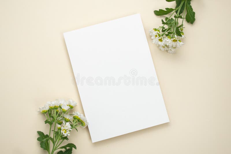 Card and Shadow on Beige Background Stock Image - Image of carving ...