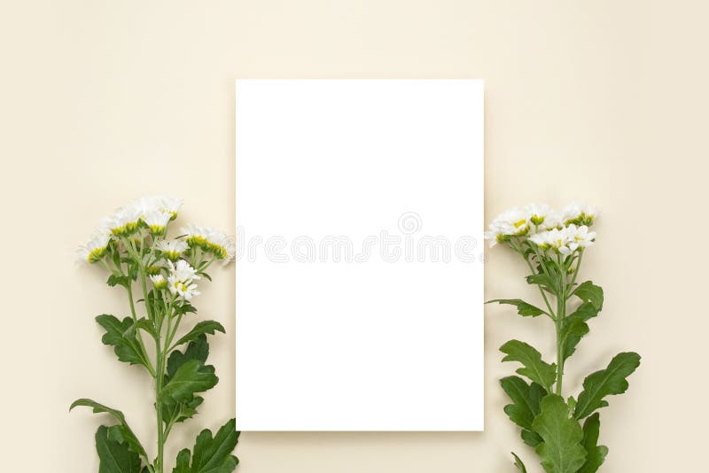 Card and Shadow on Beige Background Stock Image - Image of green, event ...