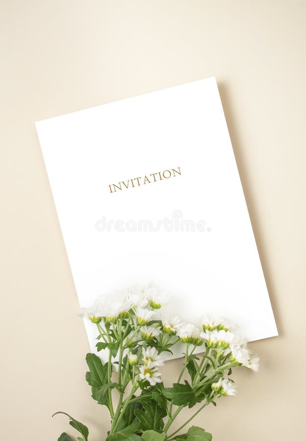 Card and Shadow on Beige Background Stock Photo - Image of mockup ...