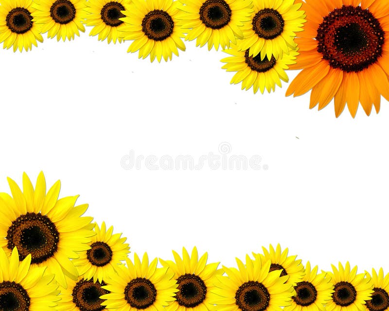 Spring Sunflowers Page Border Stock Photos - Free & Royalty-Free Stock ...
