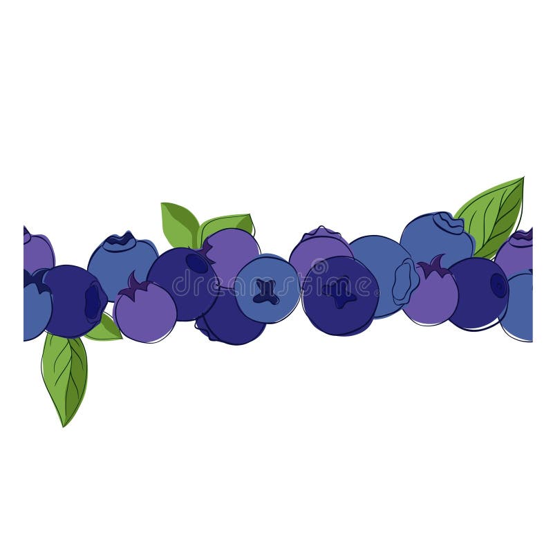 Card Template Seamless Border with Graphic Line Blueberries , Frame ...