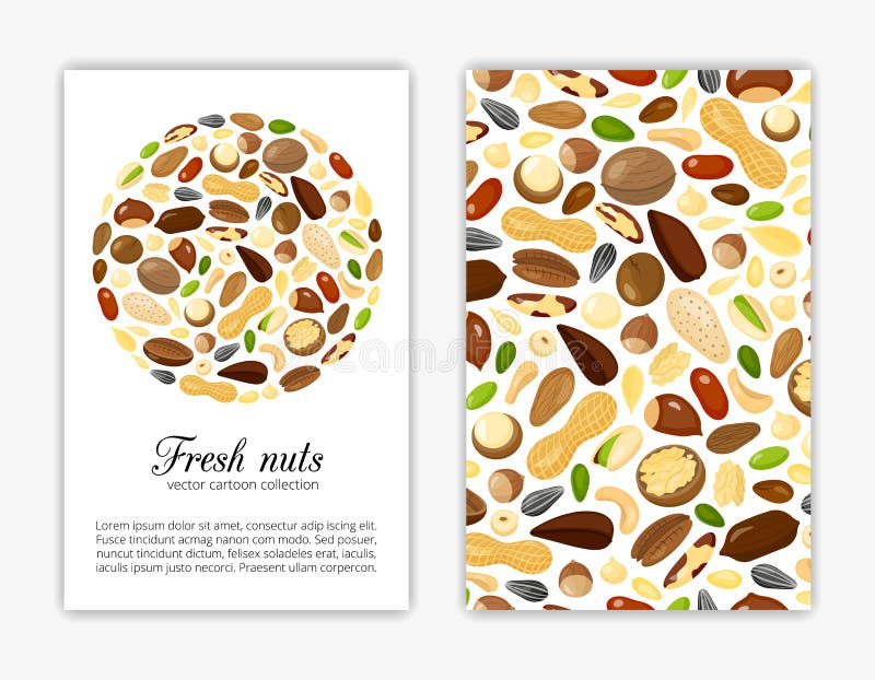 Card Templates with Nuts and Seeds. Stock Vector - Illustration of ...