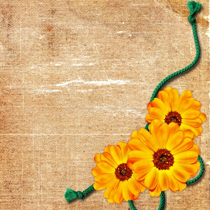 Card with Yellow Flowers on Grunge Background Stock Illustration ...
