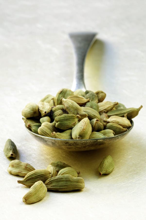 Cardamom stock photo. Image of seedpod, vertical, food - 14828080