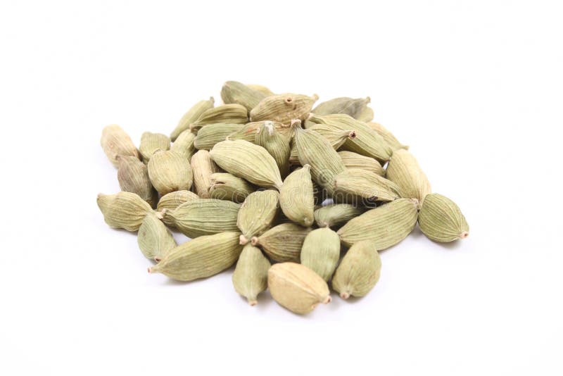 Cardamoms isolated stock image. Image of herbie, pods - 9457613