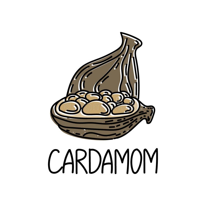 Cardamom, Drawn Element in Doodle Style. Logo and Emblem Packaging ...