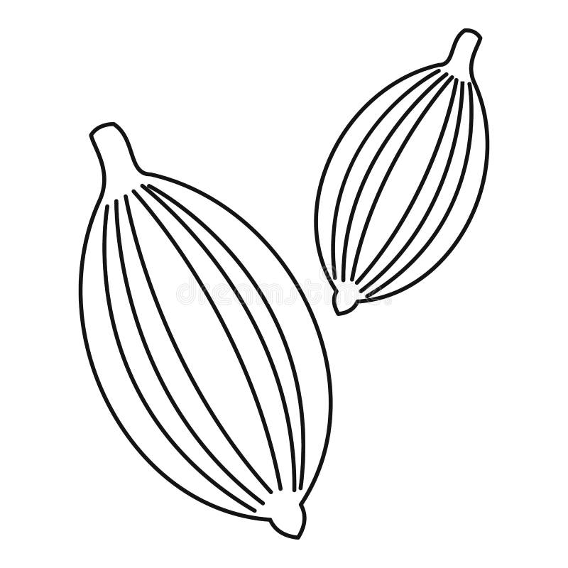 Cardamom Icon, Outline Style Stock Vector - Illustration of gourmet ...