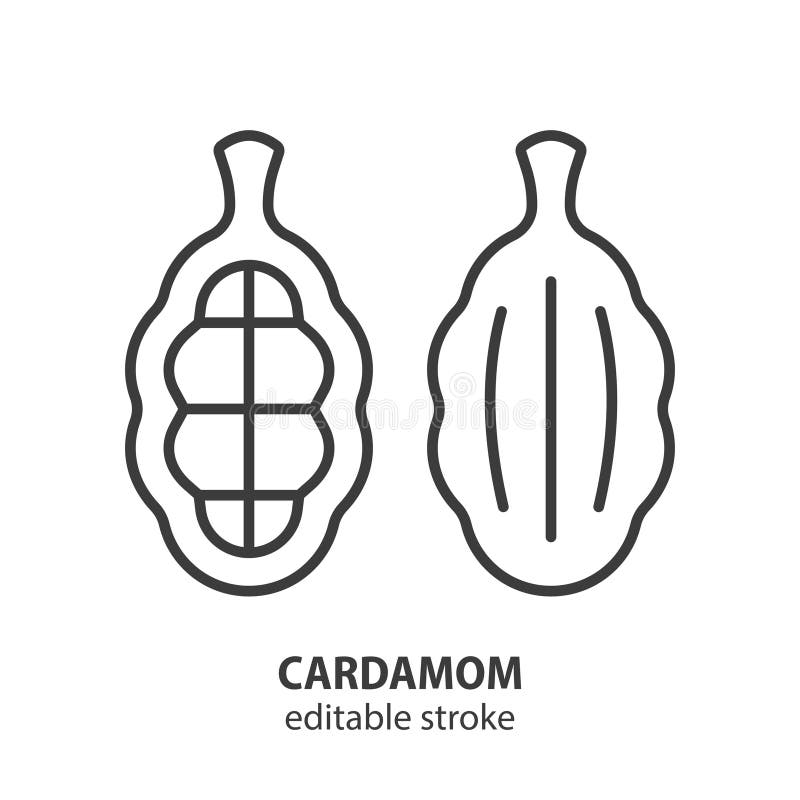 Cardamom Line Icon. Spice Vector Symbol Stock Vector - Illustration of ...