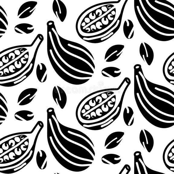 Cardamom Pattern. Whole, Half, Seeds. Aromatic Camphor Spice ...