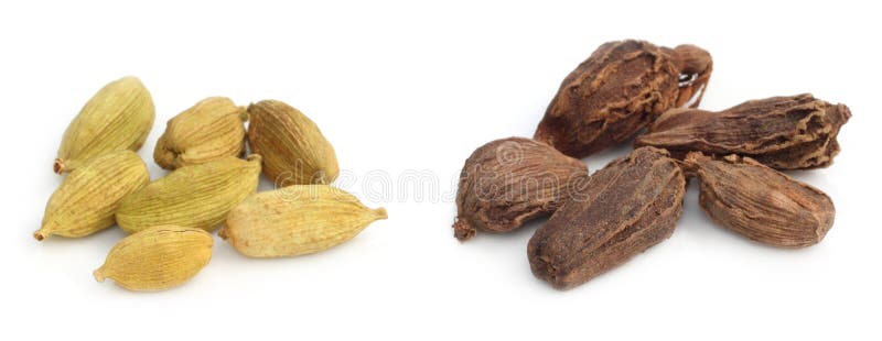 Cardamom Seeds Two Types Stock Photos - Free & Royalty-Free Stock ...