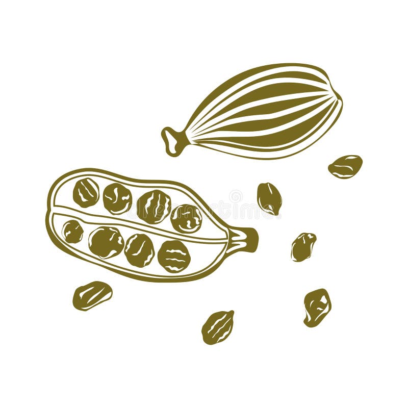 Cardamom Isolated Logo Icon. White Silhouette Stock Vector ...