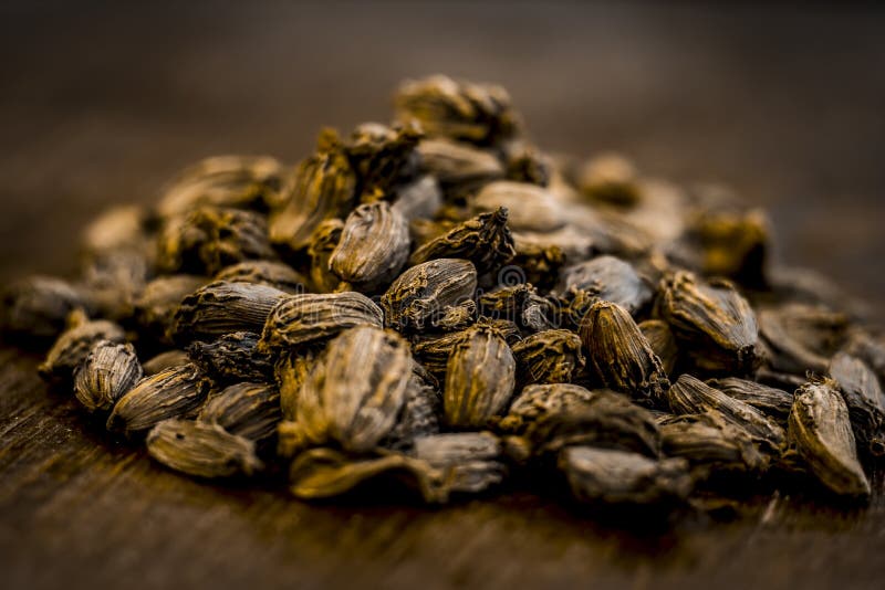 Cardamomo con su polvo foto de archivo. Imagen de nadie - 114140096