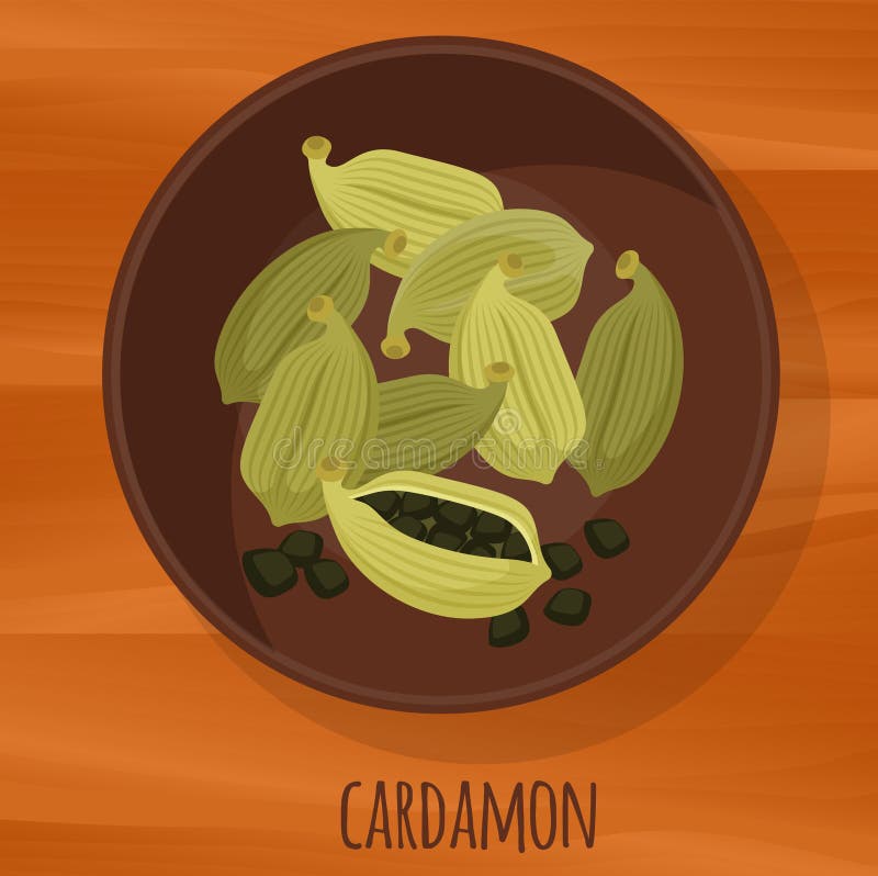 Cardamon Flat Design Vector Icon. Stock Vector - Illustration of ...