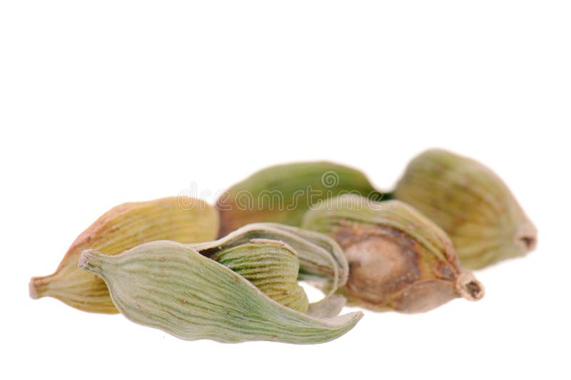 Cardamon Field stock image. Image of exotic, spicy, kitchen - 10958347