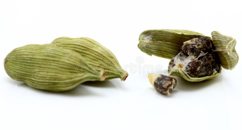 Cardamon foto de archivo. Imagen de hierba, herbario - 61444590