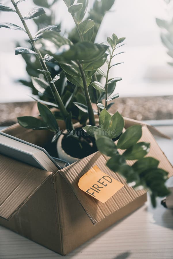 Cardboard Box with Books Plant and Sticky Note with Word Fired Stock ...