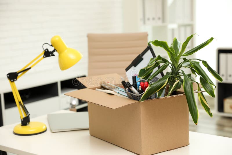 Cardboard Box Full of Stuff on Table Stock Image - Image of full ...