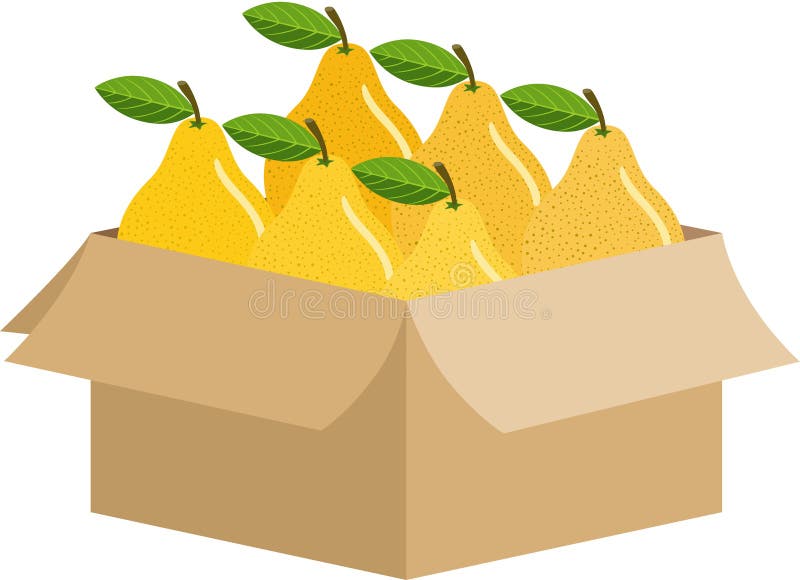 Cardboard Box Full with Yellow Pears Stock Vector - Illustration of ...