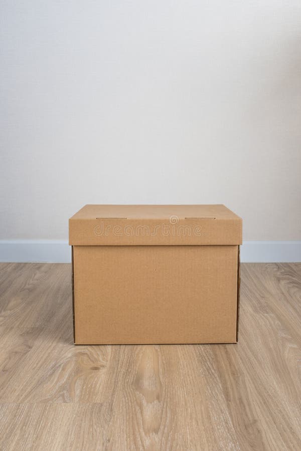 Cardboard box with lid stock photo. Image of delivery - 102127762