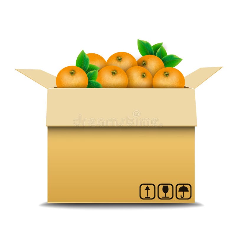 Box Oranges Stock Illustrations – 663 Box Oranges Stock Illustrations ...