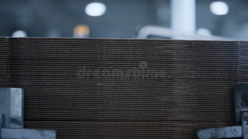 Loading Bar Line Progress Loop Animation Video Transparent Background ...