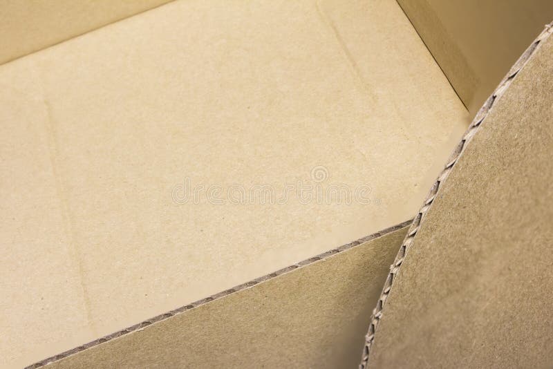 Cardboard box plant stock image. Image of plant, abstract - 73567195