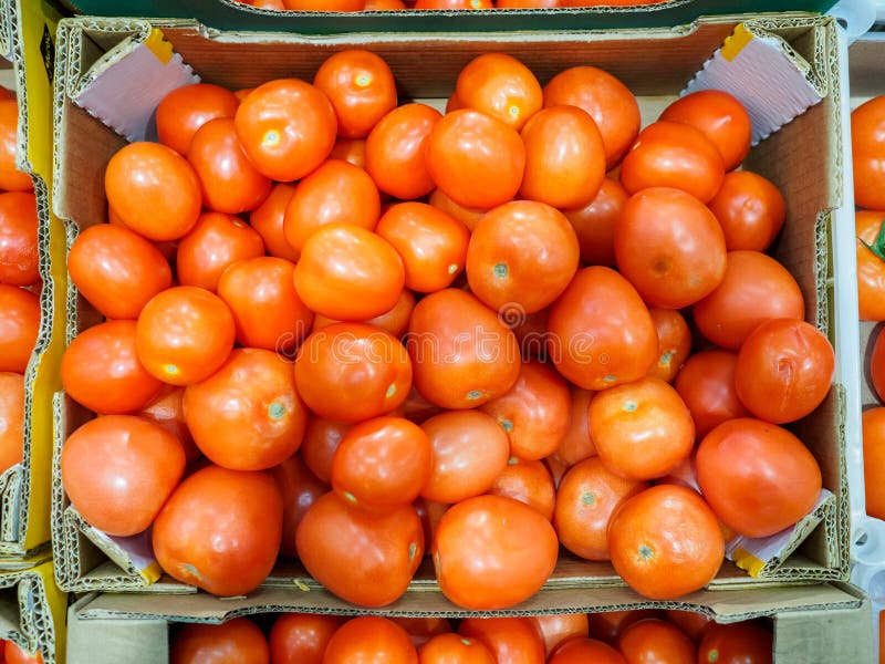 Cardboard Box with Ripe Fresh Red Tomatoes Stock Photo - Image of ...
