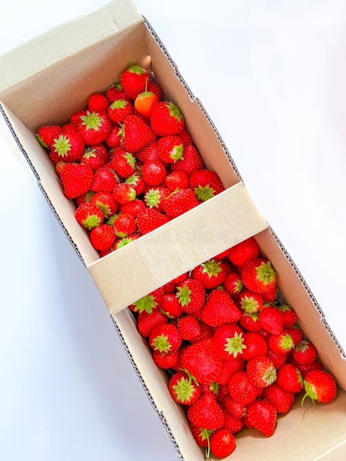 Cardboard Box with Strawberries Isolated Stock Image - Image of fruit ...
