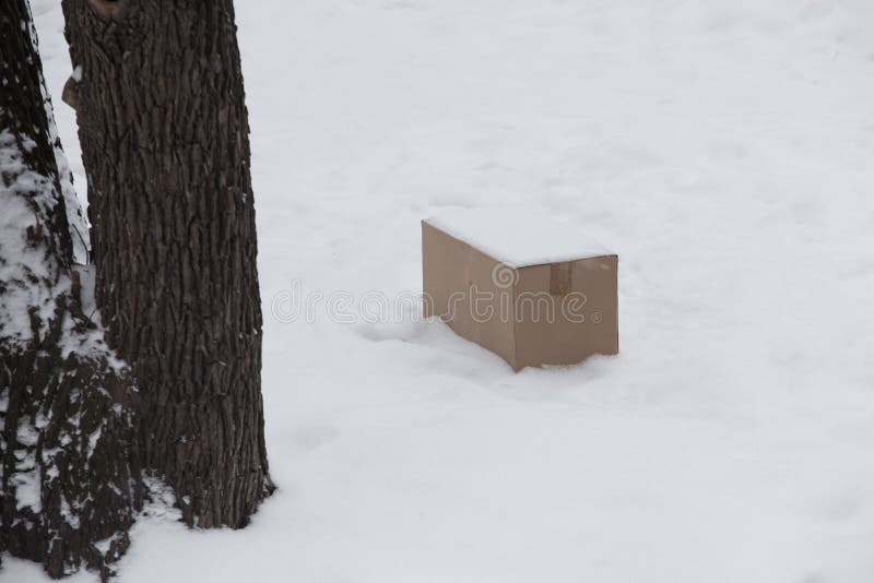 Cardboard Box in Winter in the Snow Stock Photo - Image of parcel ...