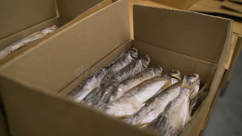Cardboard Boxes with Fish Inside. Dried Fish at the Warehouse, Inside ...