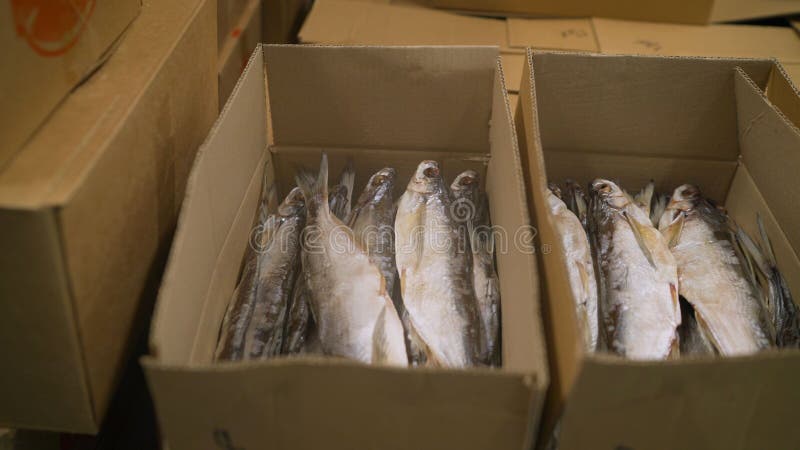 Cardboard Boxes with Fish Inside. Dried Fish at the Warehouse, Inside ...
