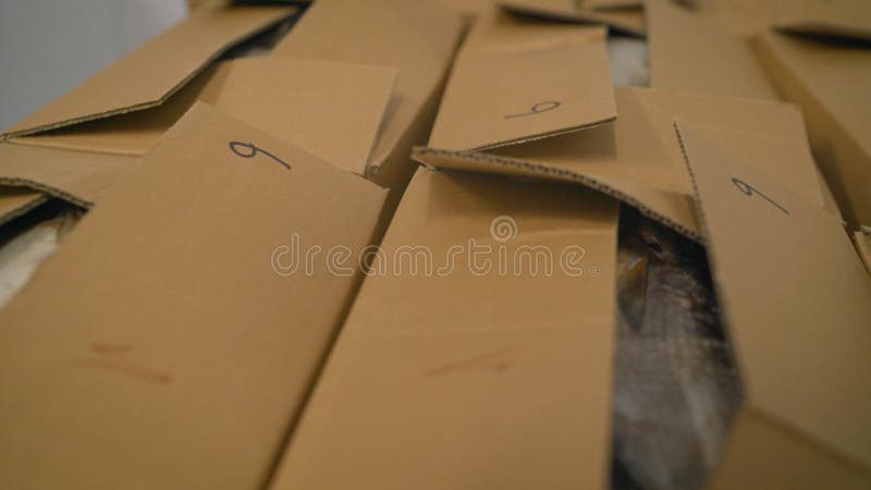 Cardboard Boxes with Fish Inside. Dried Fish at the Warehouse, Inside ...