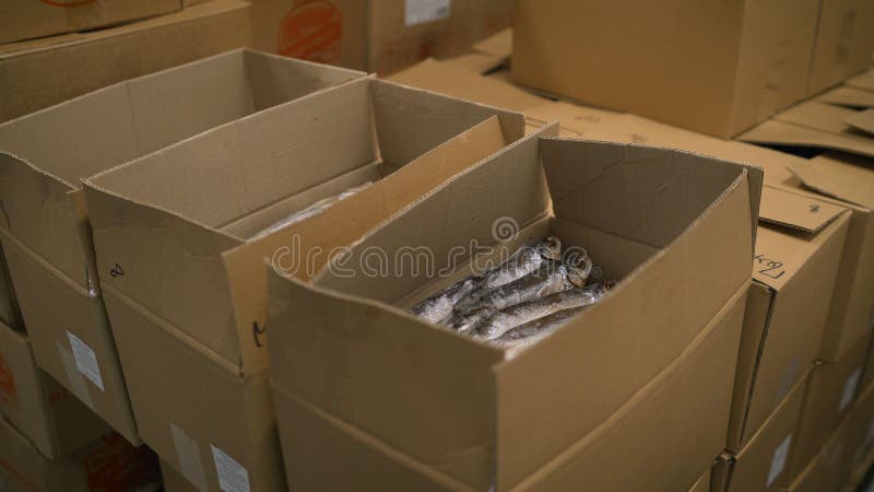 Cardboard Boxes with Fish in the Warehouse. Fish in a Box before ...