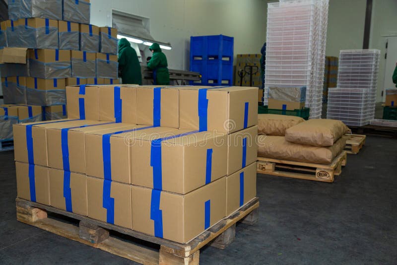 Cardboard Boxes in the Warehouse. Stock Image - Image of cargo ...