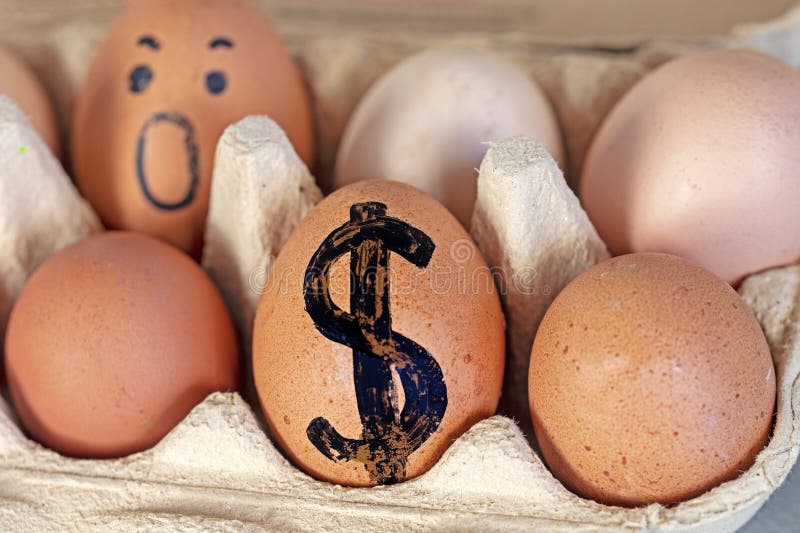 Cardboard Container with Eggs and with Drawn Dollar Currencies. Stock ...