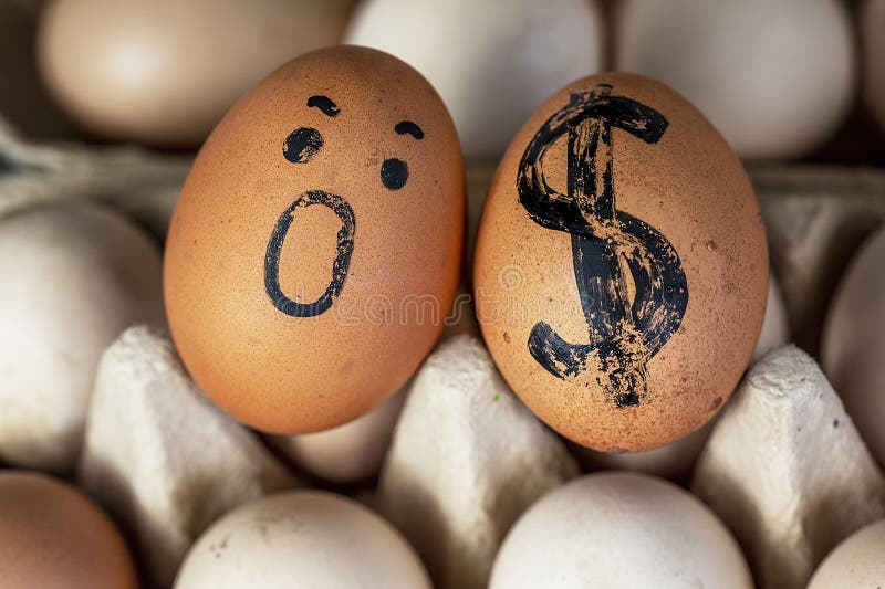 Cardboard Container with Eggs and with a Drawn Dollar Currency Marker ...