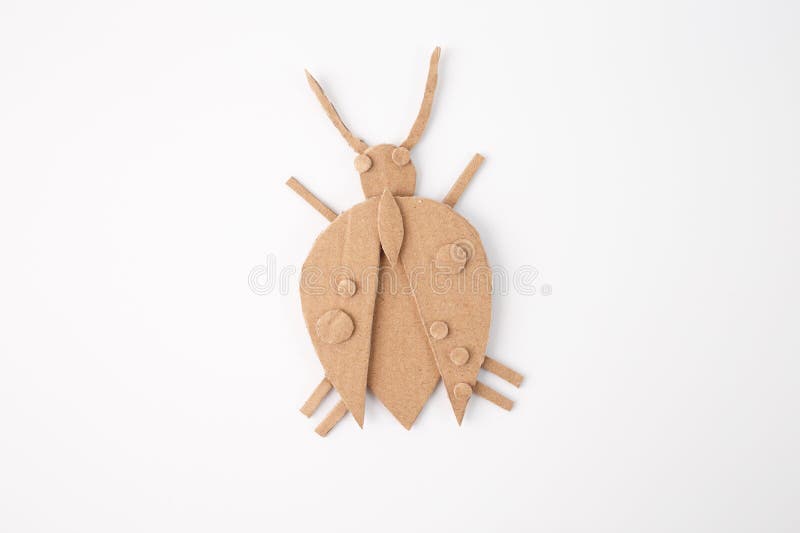A Cardboard Cutout of an Insect Made from Various Shapes of Cardboard ...