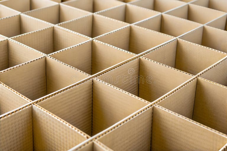 Close-up of a Cardboard Dividers for Secure Shipping Stock Illustration ...
