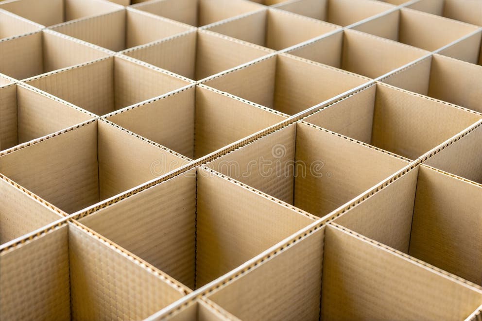 Close-up of a Cardboard Dividers for Secure Shipping Stock Illustration ...