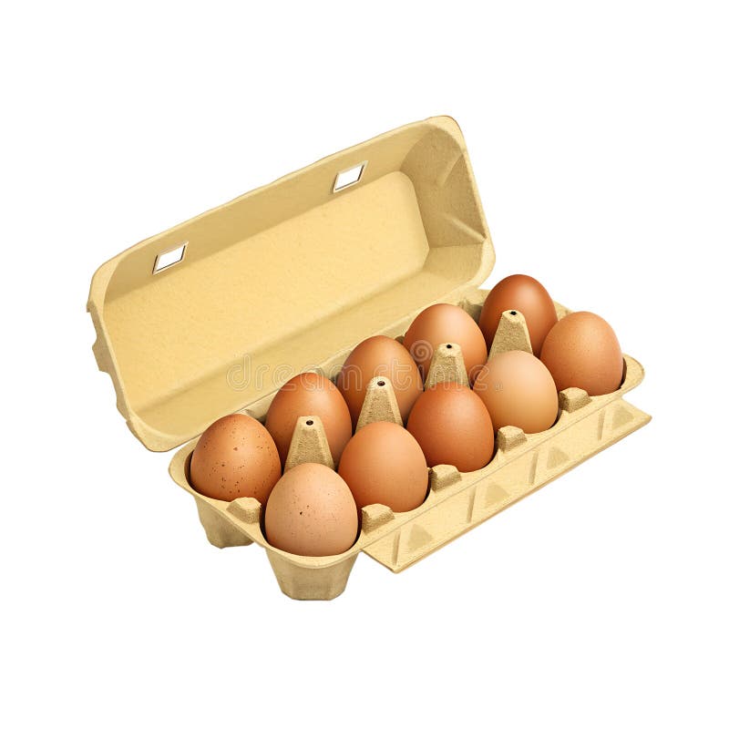 Egg Carton with Brown Eggs stock vector. Illustration of clean - 366592218