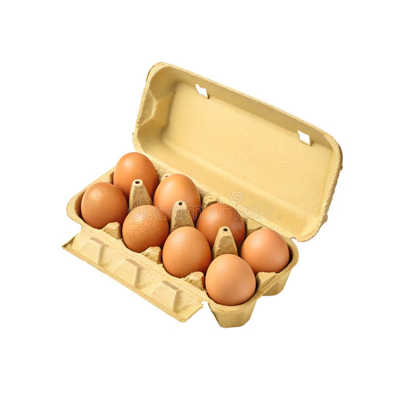 Egg Carton with Brown Eggs stock vector. Illustration of clean - 366592344