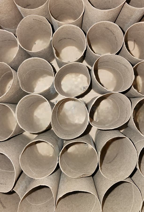 Cardboard Empty Paper Rolls Stock Photo - Image of rolls, paper: 305222714
