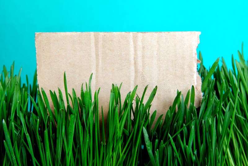 Cardboard on the Grass stock photo. Image of garden, memories - 39330732