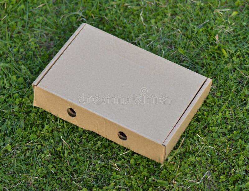 Cardboard Large Parcel Box on the Background of Green Grass Outdoors ...